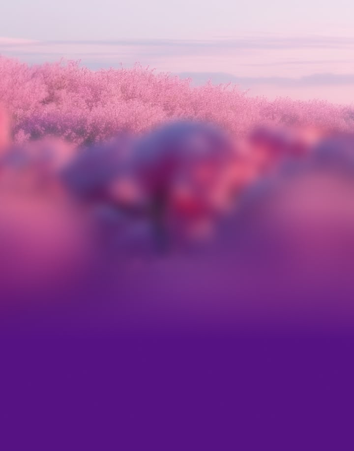 CleanMyMac: The first MacBook cleaner that does it all